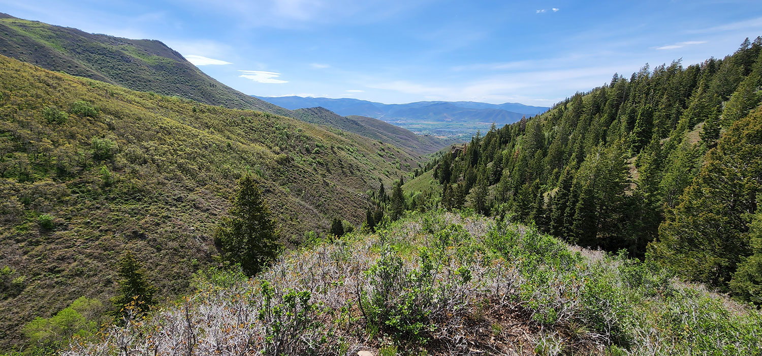 Friends of Wasatch Mountain State Park | Utah – FOW