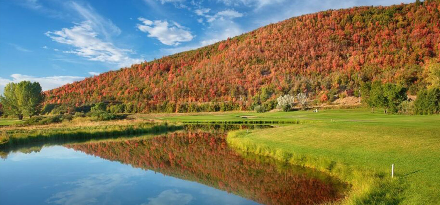 Friends of Wasatch Mountain State Park | Utah – FOW