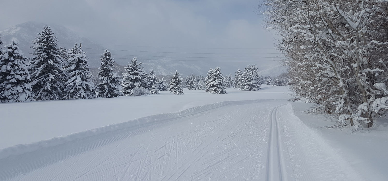 Friends of Wasatch Mountain State Park | Utah – FOW